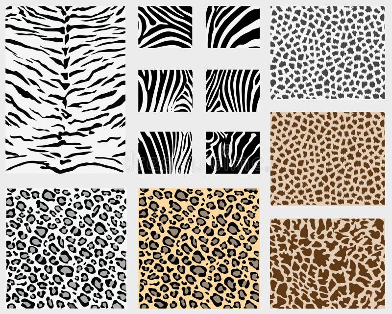 Animal skins stock illustration. Illustration of skin - 38160953