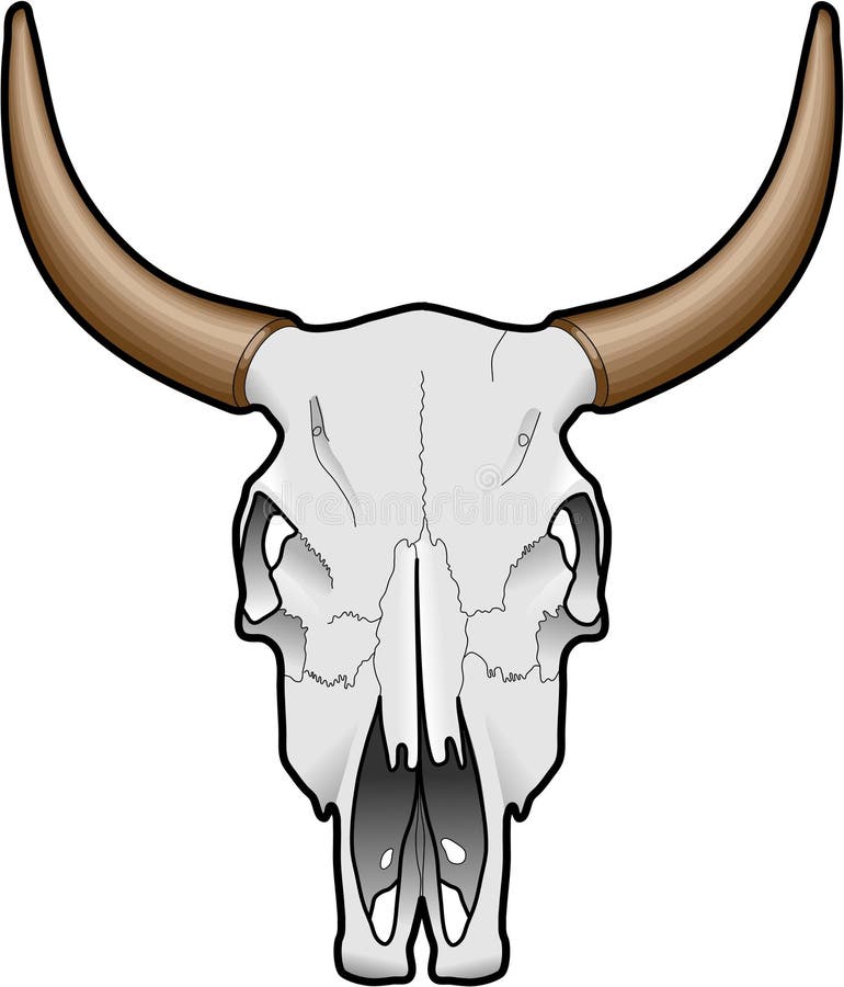 Animal Skull stock illustration. Illustration of animal - 3165301