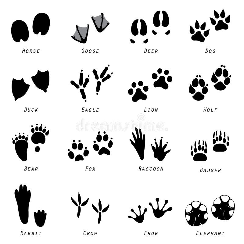Spoor Symbool Clipart Trein Spoor Vectoren, Illustraties En Clipart