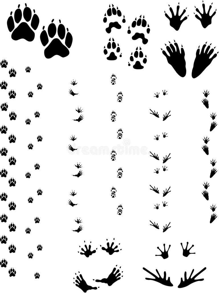 Prints Animal Tracks Stock Illustrations – 2,369 Prints Animal Tracks ...