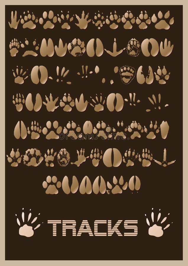 Icon Set Animal Tracks II stock vector. Illustration of traces - 69640992