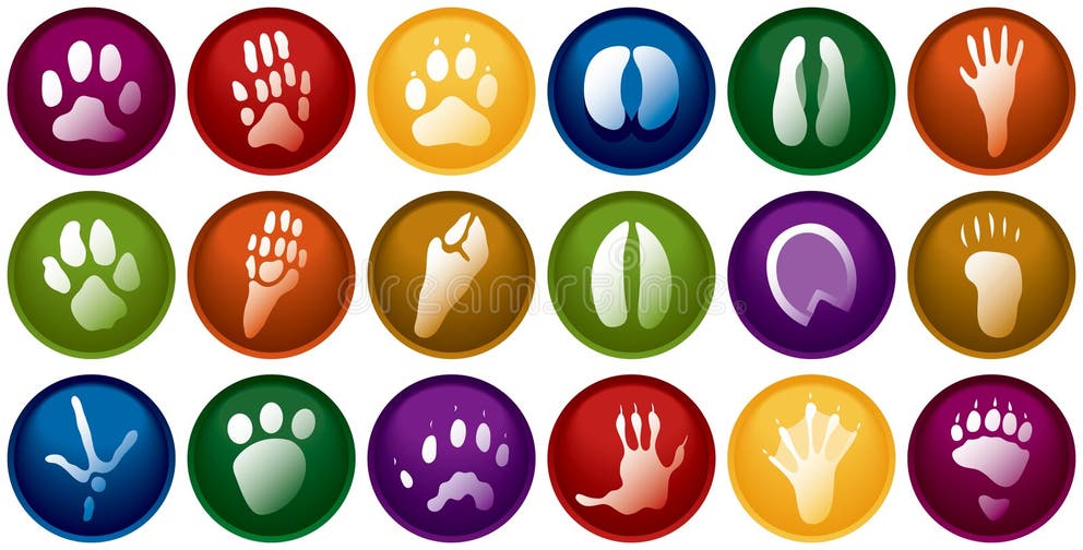Animal tracks buttons stock vector. Illustration of hoof - 3312534