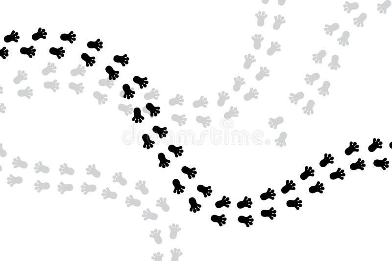 Rabbit Tracks Stock Illustrations – 149 Rabbit Tracks Stock ...