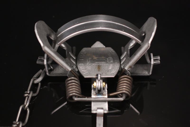 Animal Trap stock photo. Image of trap, product, coyote - 7350346