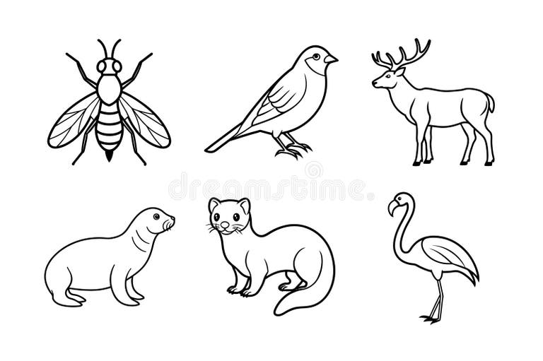 Animal Vector Line Art Icon Set Stock Vector - Illustration of sketch ...