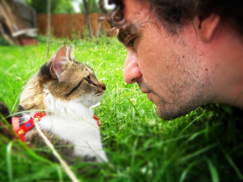 Animal versus human stock image. Image of comunicate - 24161275