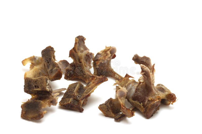 Animal Waste Leftover Lamb Bones Stock Image - Image of grilled, grill ...