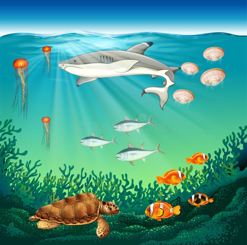 Animales De Mar Que Nadan Debajo Del Océano Ilustración del Vector ...