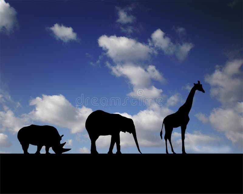 Animales Que Caminan Imagen. Imagen: 5254850