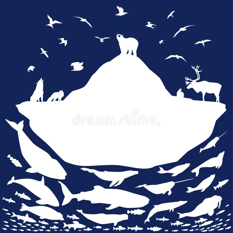 Animales Y Pájaros Del ártico Ilustración del Vector - Ilustración de ...