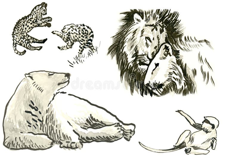 Touch Animals Stock Illustrations – 23,928 Touch Animals Stock ...