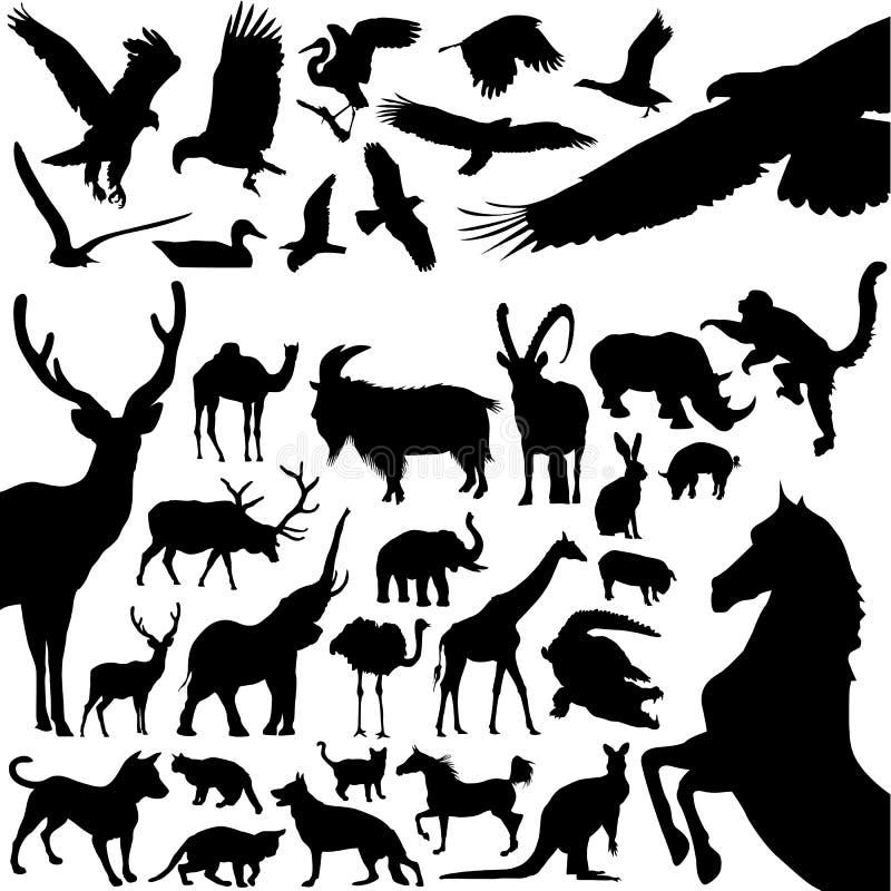 Animals stock vector. Illustration of black, elephant - 5855304