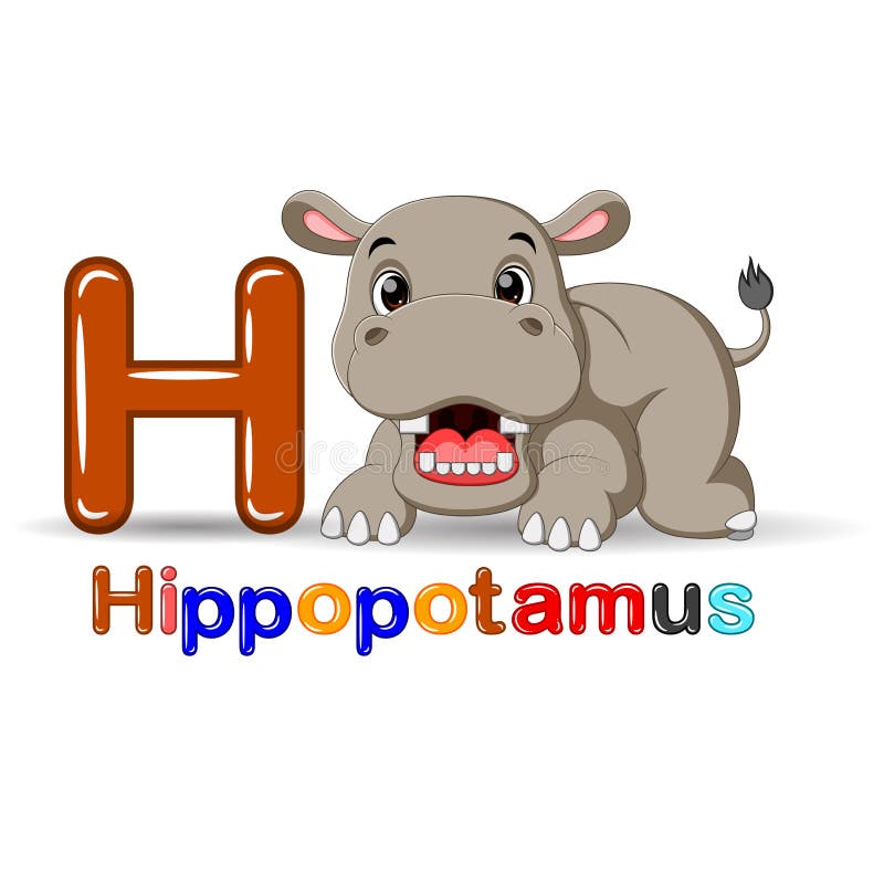 Animal Alphabet H.H For Hippo Stock Vector - Illustration of adorable ...