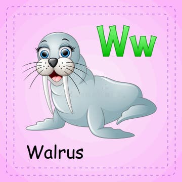 Animals Alphabet: W is for Walrus Stock Vector - Illustration of font ...