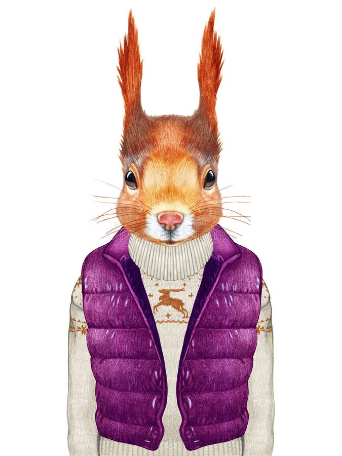 Animals As a Human. Squirrel in Down Vest and Sweater Stock ...