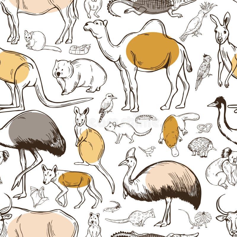 Animals and Birds of Australia Stock Vector - Illustration of ...