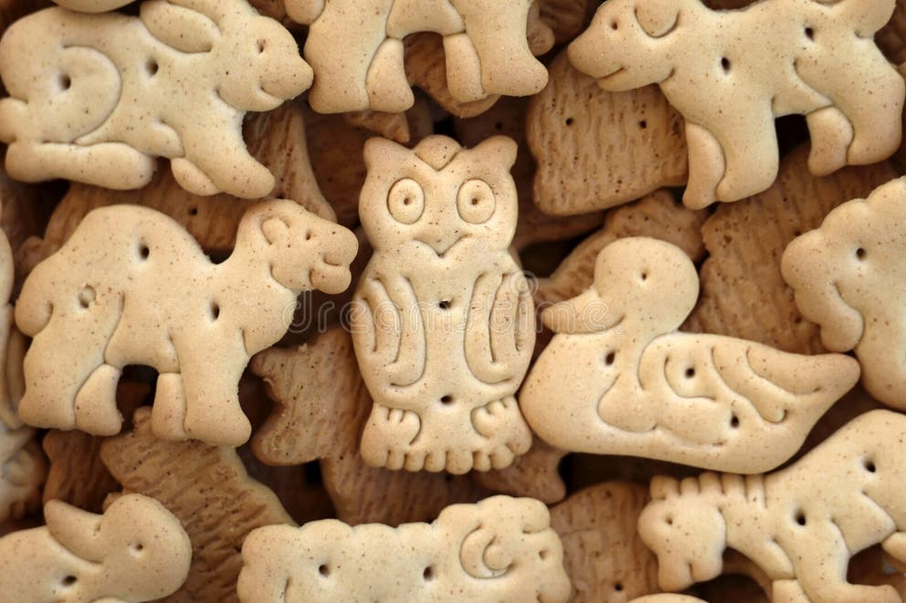 Animals Biscuits stock photo. Image of crunchy, sweet - 372331572