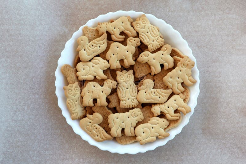 Animals Biscuits in a Plate Stock Image - Image of shaped, background ...