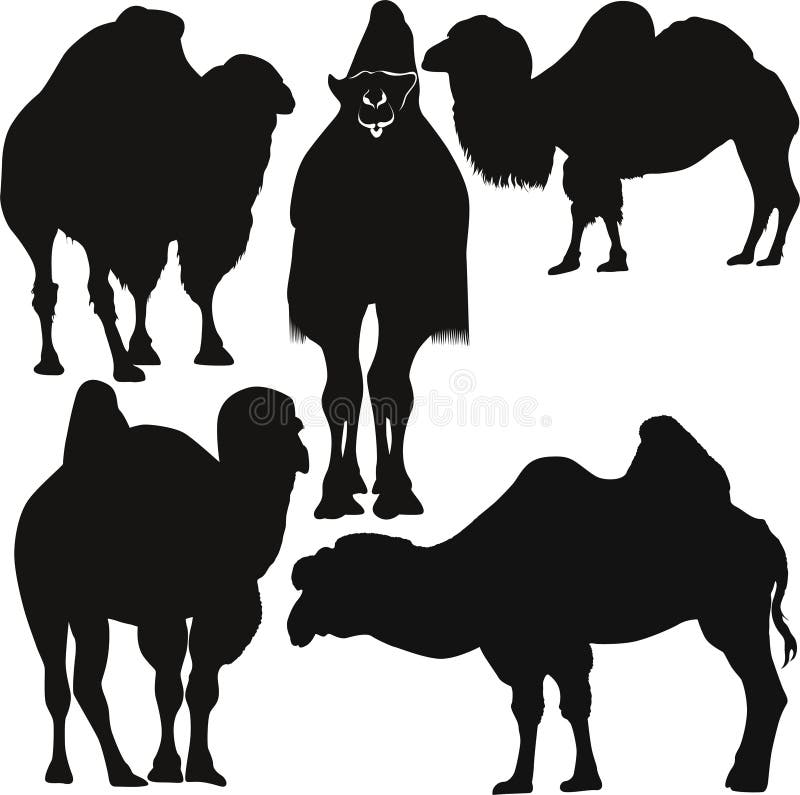 Animals camel vector stock vector. Illustration of mammal - 38183150