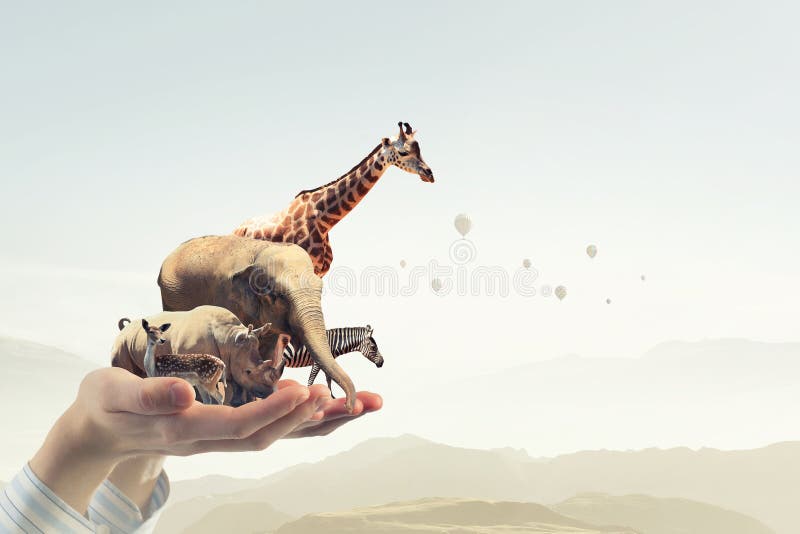 Animals Care and Protection Stock Photo - Image of group, strong: 92381300