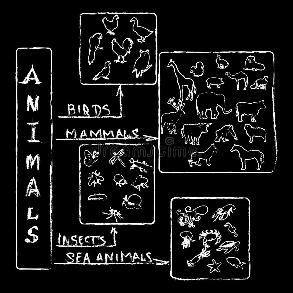 Monochrome Infographic Stock Illustrations – 9,393 Monochrome ...