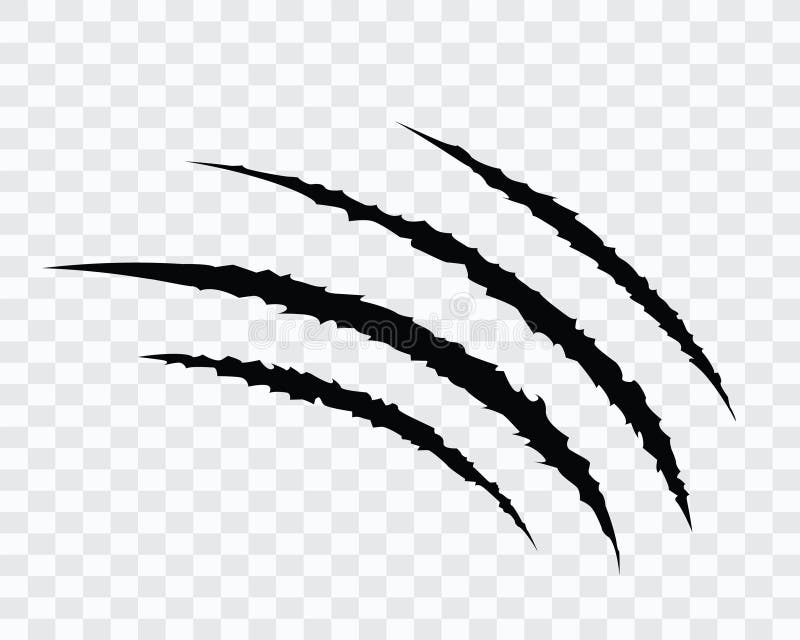 Claw Scratch Pattern Stock Illustrations – 393 Claw Scratch Pattern ...