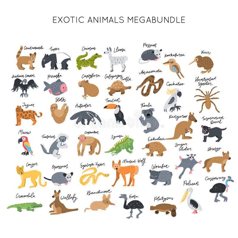 Animals Clipart Bundle Vector Stock Illustration - Illustration of ...