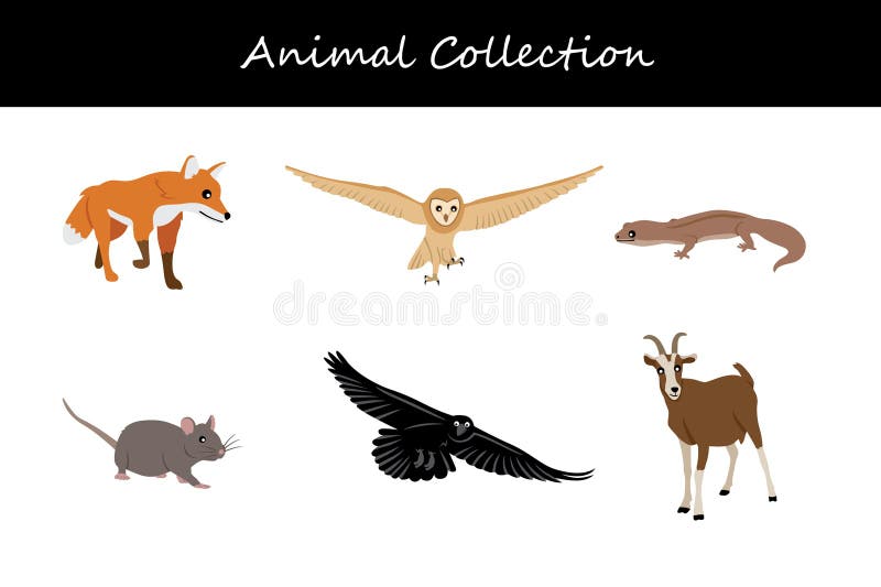 Animals Collection Isolated on White Background. Flat Style Vector ...