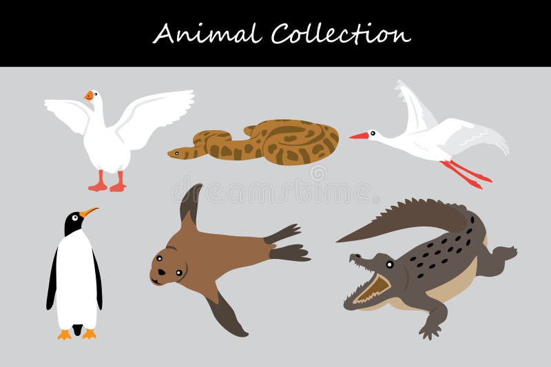 Animals Collection. Vector Illustration of a Set of Wild Animals Stock ...