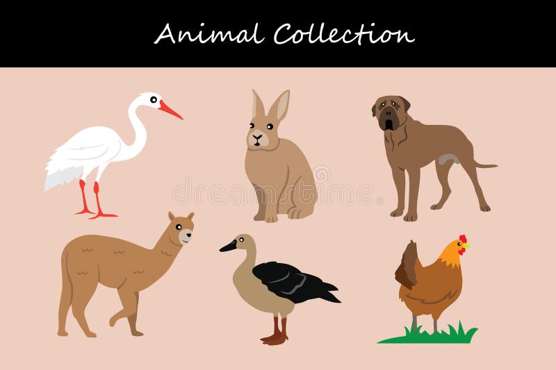 Animals Collection. Vector Illustration of a Set of Wild Animals Stock ...