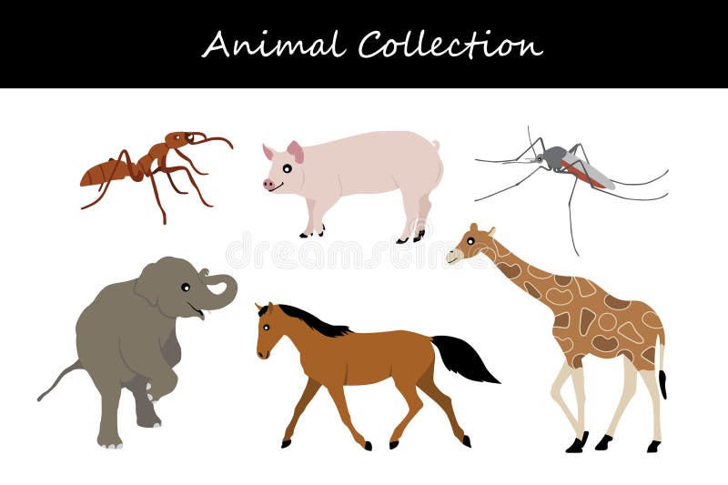 Animals Collection. Vector Illustration of a Set of Wild Animals Stock ...