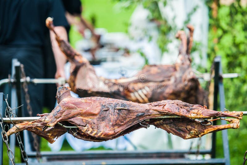 Animals cooking on spit stock image. Image of nature - 29318751