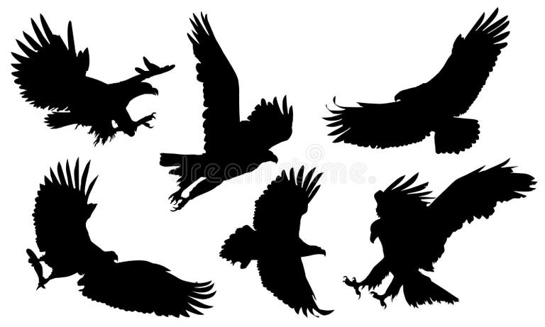 Animals Eagle Hawk Bird Fly Swoop Attack Silhouette Set Collection on ...