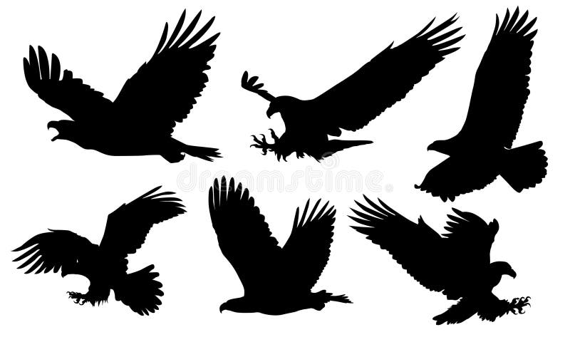 Bald Eagle Fly Vector Stock Illustrations – 2,876 Bald Eagle Fly Vector ...