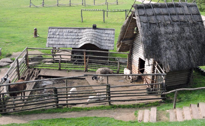 Animals farm stock image. Image of stable, watch, little - 60068965