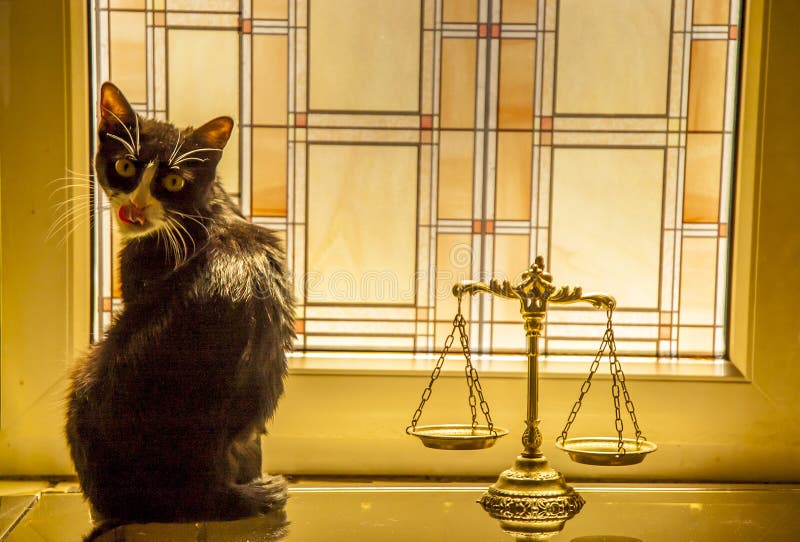 Animals law and justice stock image. Image of liberty - 69316791