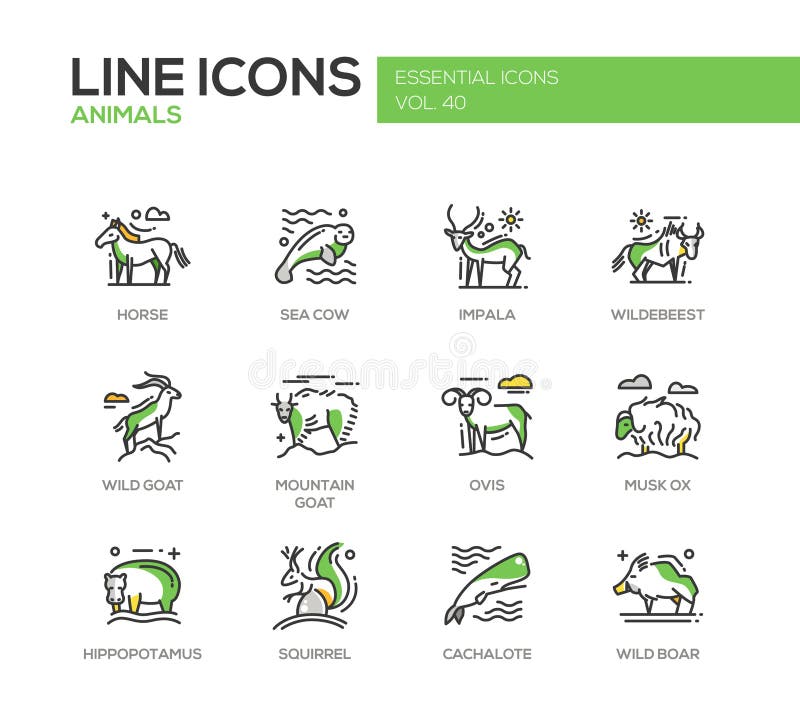 Zoo Animals Line Set Stock Illustrations – 2,883 Zoo Animals Line Set ...