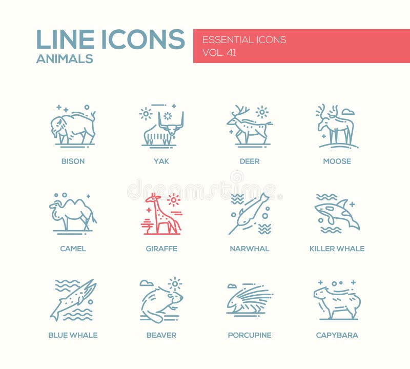 Zoo Animals Line Set Stock Illustrations – 2,883 Zoo Animals Line Set ...