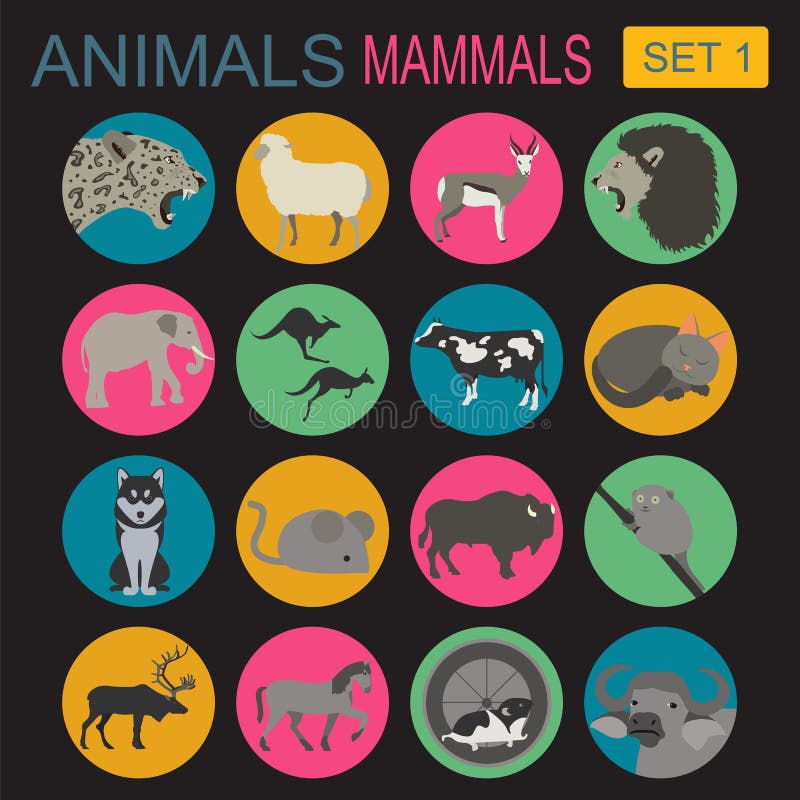 Animals Mammals Icon Set. Vector Flat Style Stock Vector - Illustration ...