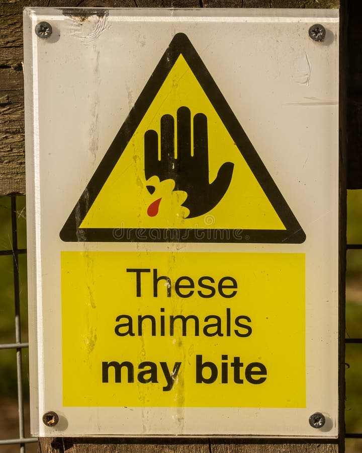 These Animals May Bite Sign in Yellow and Black on White Editorial ...