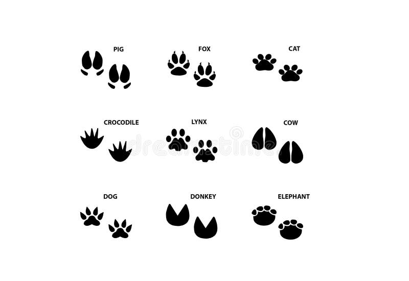 Pow Pets Stock Illustrations – 22 Pow Pets Stock Illustrations, Vectors ...