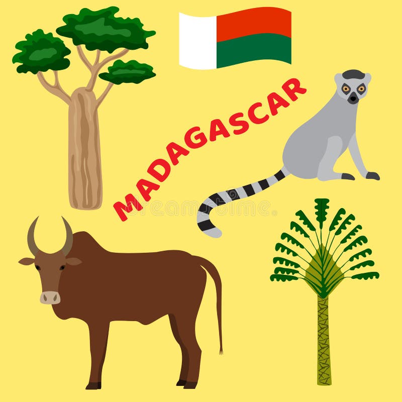 Set of Cute Cartoon Animals and in the Madagascar Areas Stock Vector ...
