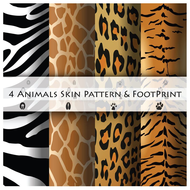 Animals Skin Pattern and Footprint Stock Vector - Illustration of tiger ...