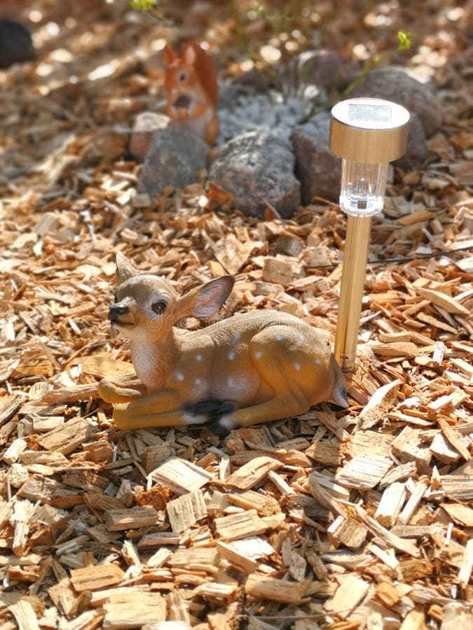 Animals in spring stock photo. Image of nature, animals - 142777266