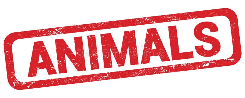 ANIMALS Text Written on Red Rectangle Stamp Stock Illustration ...