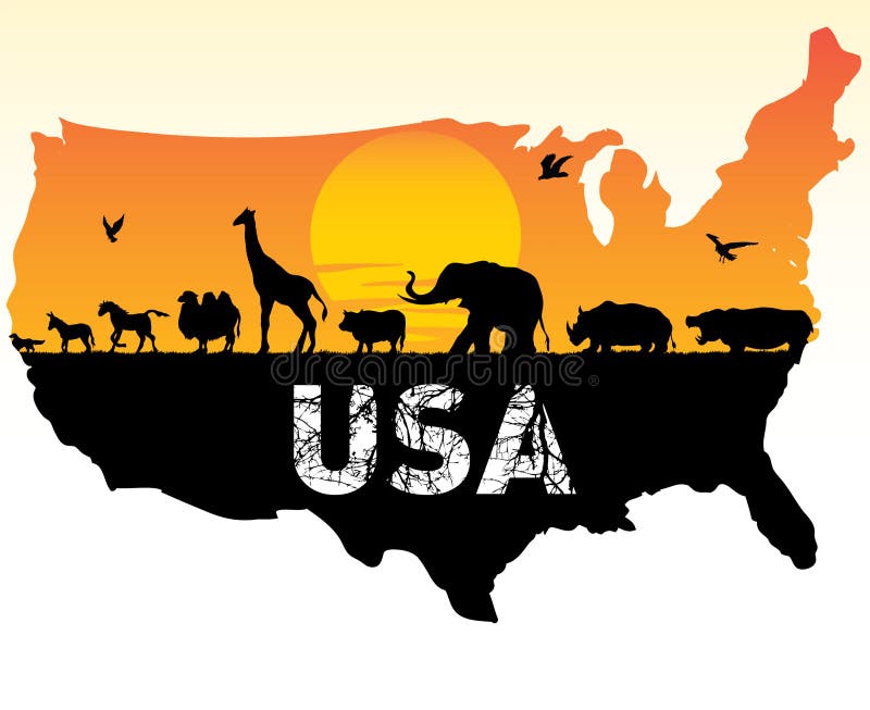 Antarctica Animals Scenario Stock Vector - Illustration of gulls ...