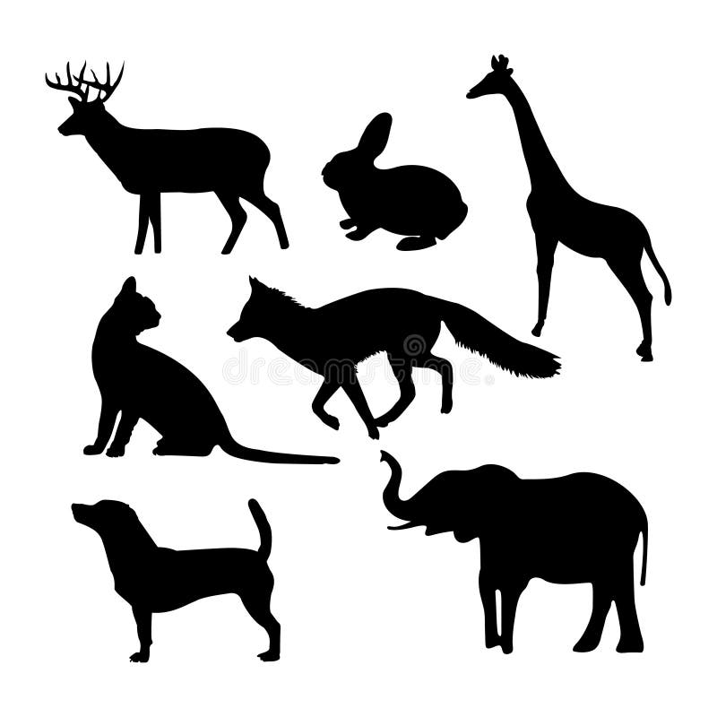 Animals Vector Illustrator stock vector. Illustration of animal - 262286954