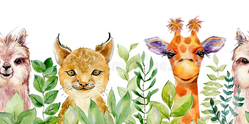 Alpaca Border Stock Illustrations – 95 Alpaca Border Stock ...