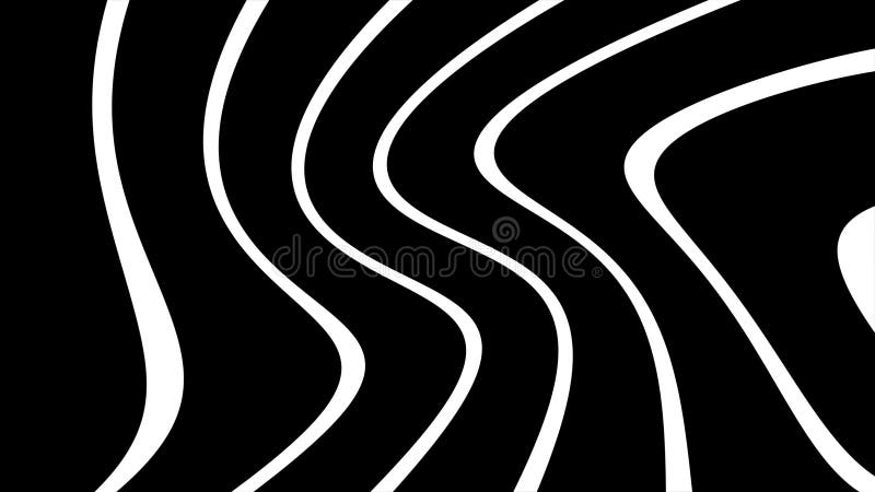 Black and White Curved Lines Loop Stock Video - Video of lines, animal ...