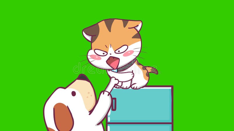 Animated Angry Cat with Dog - Green Screen Stock Video - Video of ...